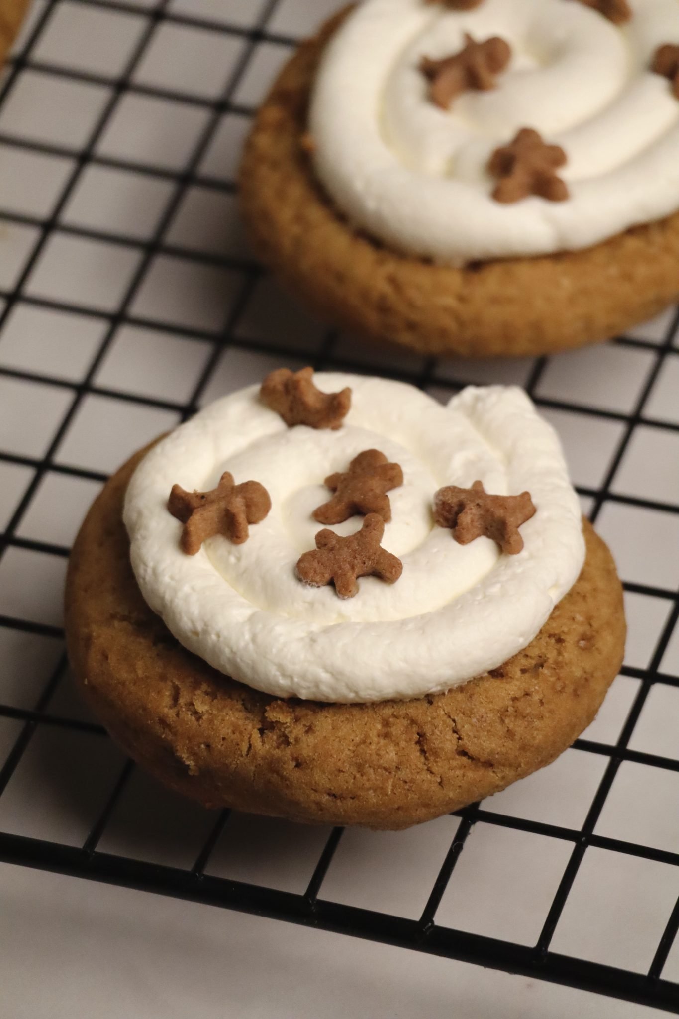 Frosted Gingerbread Cookies - Izzy's Kitchen